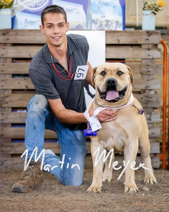 Kadima Kanisha (Breker Fanus x Megazone Alejandra) – Stone Gate Boerboels